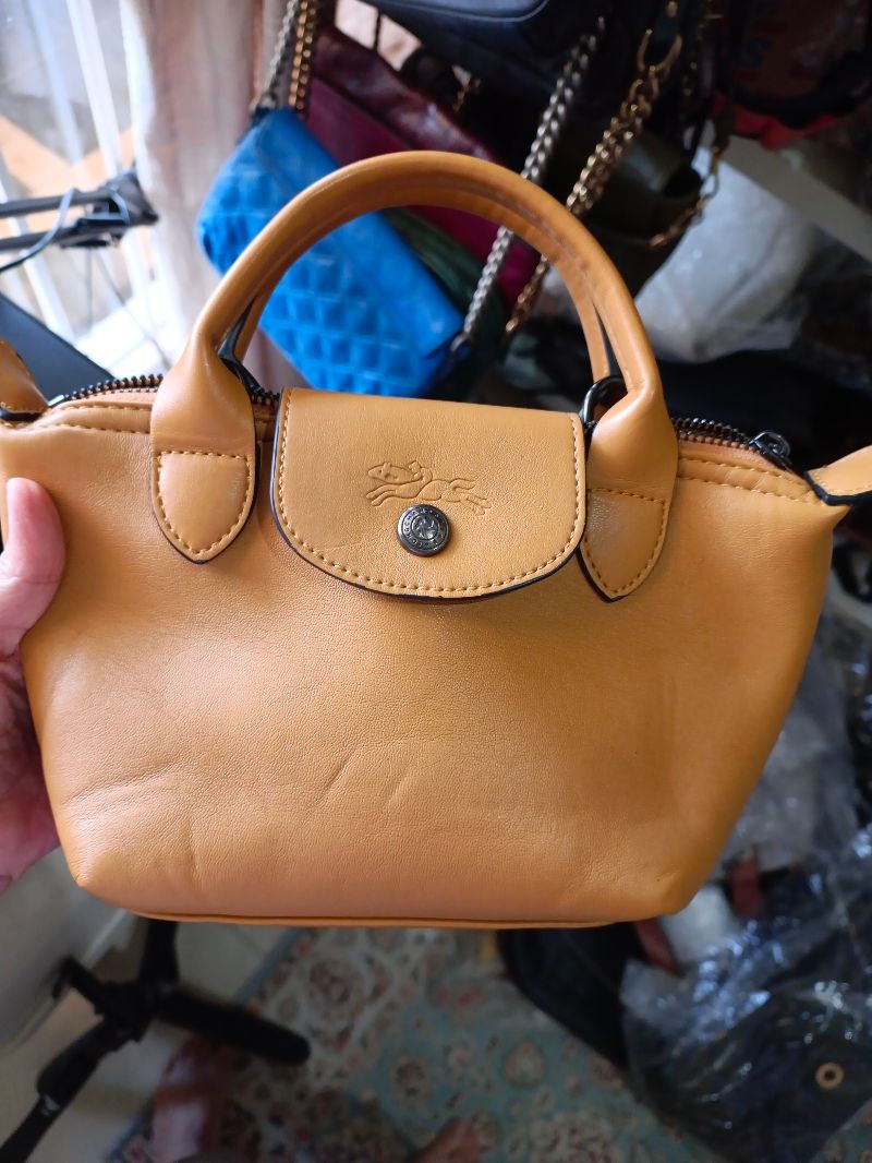 Longcham mini - Preloved