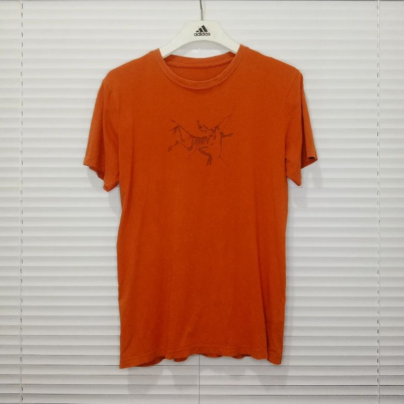 Arc'teryx Archaeopteryx lithographic logo - Preloved