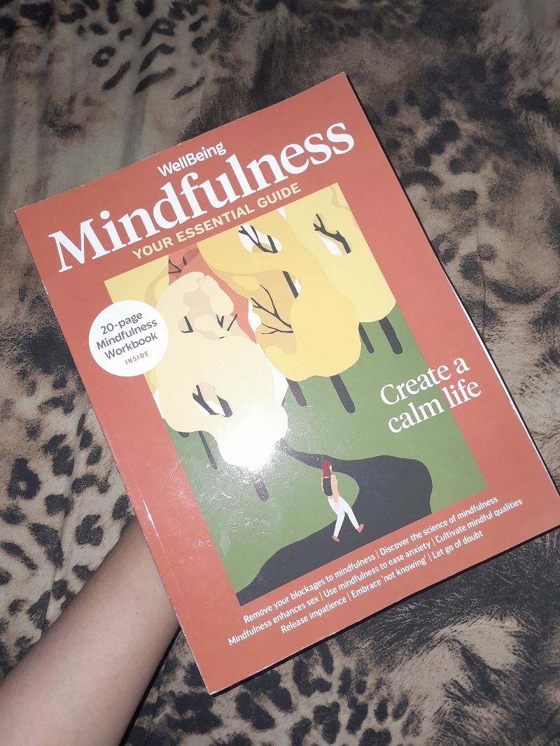 Mindfulness your essential guide - Preloved