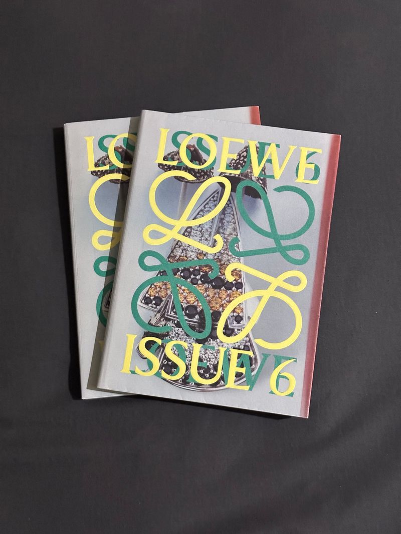 LOEWE MAGAZINE ISSUE 6 FANZINE- SPRING 2025 COLLECTOR ITEM - Preloved
